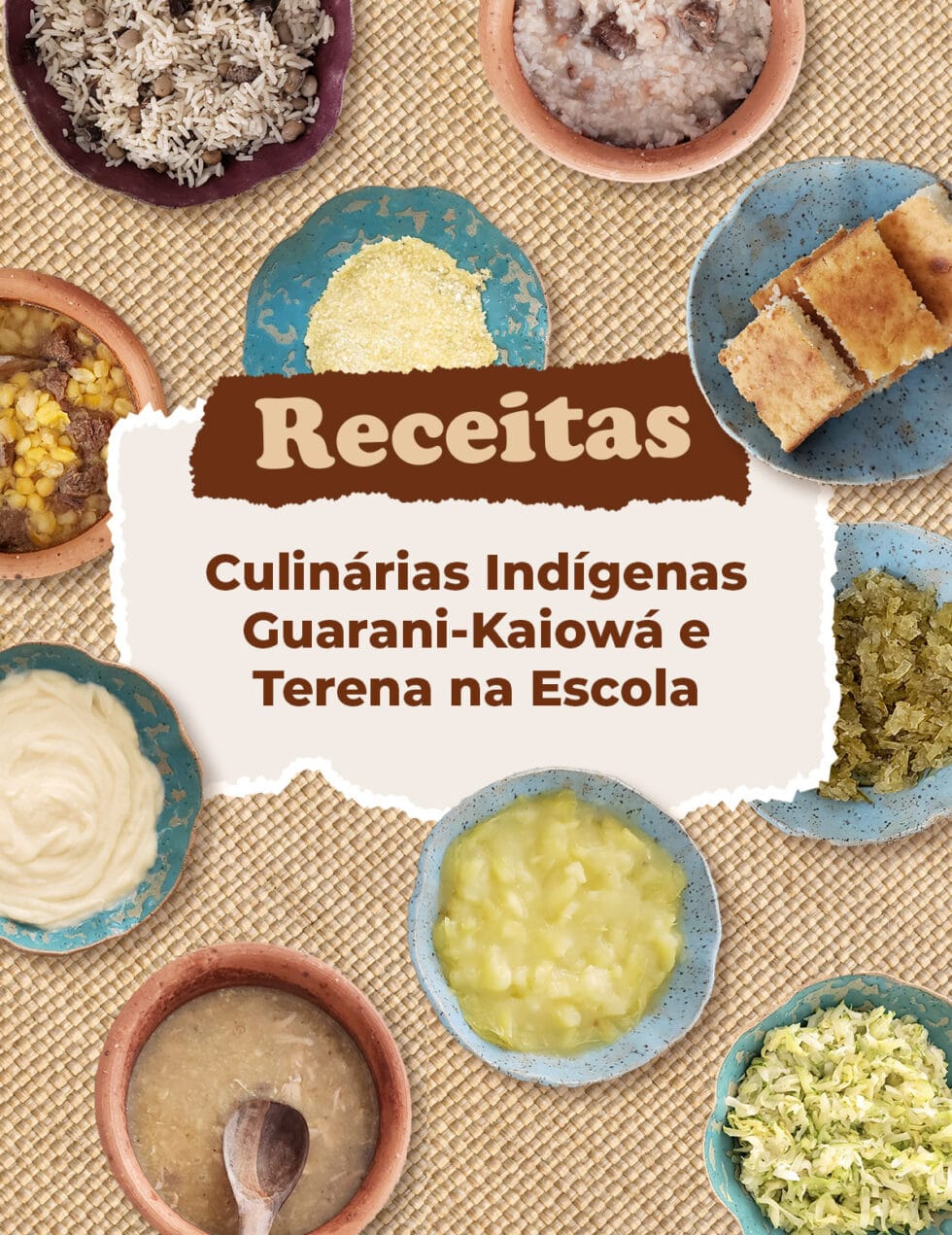 Receitas Culinárias Indígenas Guarani-Kaiowá e Terena na Escola ...